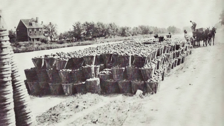 Delaware’s First Peach Boom – Dave Tabler